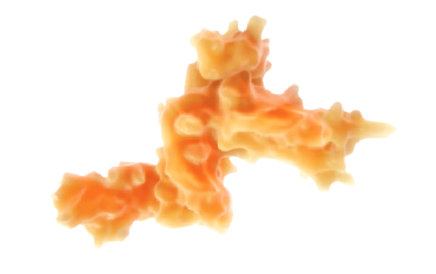 How ILUMYA® Works | ILUMYA® (tildrakizumab-asmn)